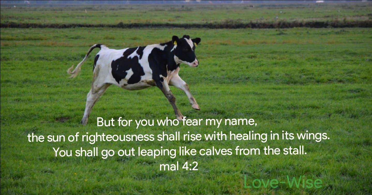 Life-giving Verses to Pray over Your Health or Those You Love – Bill ...